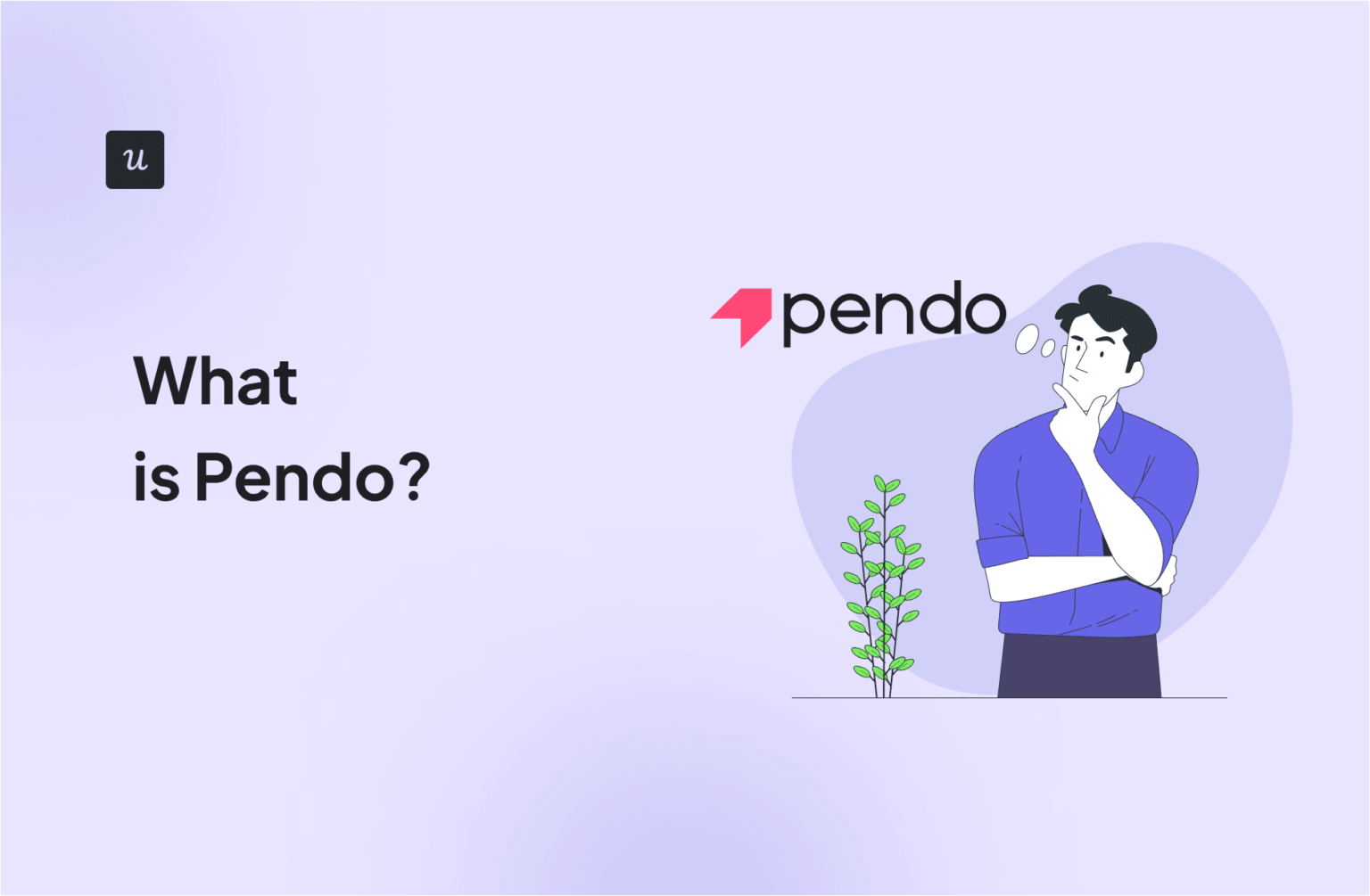What Is Pendo and Is It Worth Using?