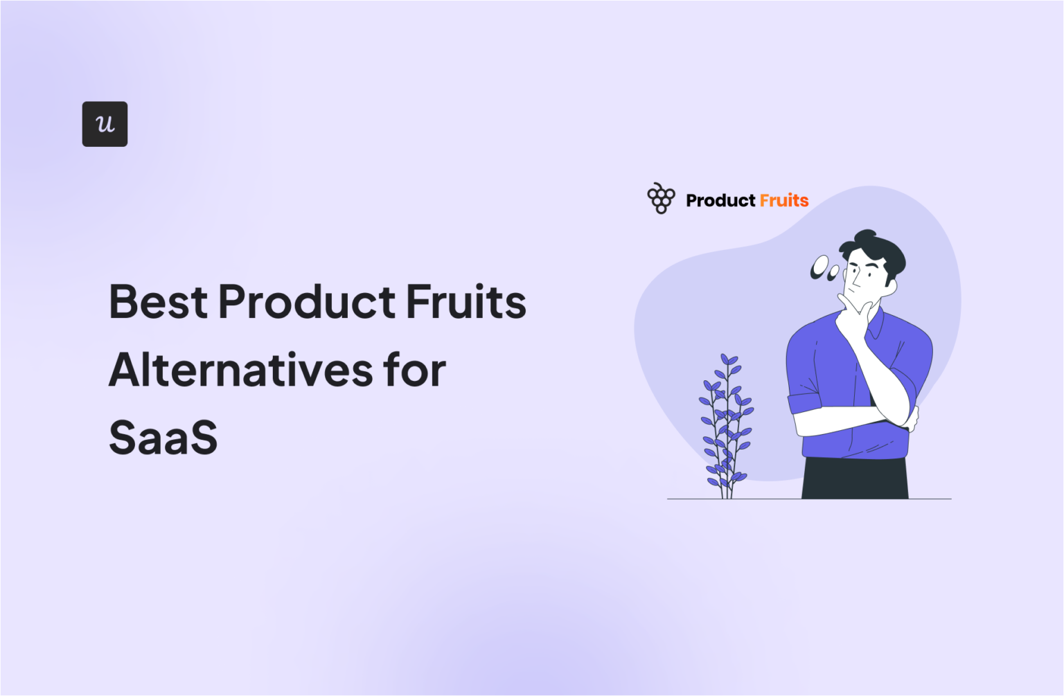 Best Product Fruits Alternatives for SaaS - Thoughts about Product ...