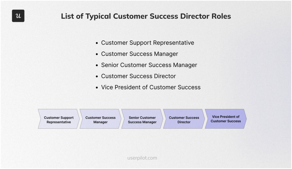 What is a Customer Success Director? Responsibilities, Salaries, and More - Thoughts about ...